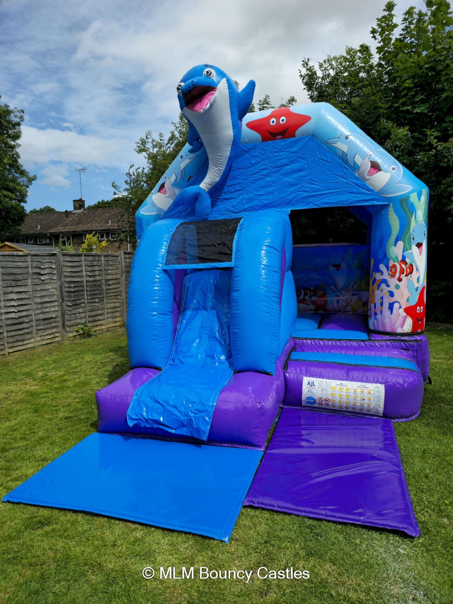 Bouncy Castles with Slides Crawley | Combo Inflatables for Hire